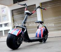 China Powerful 1000W Chainless Electric Snow Bike with 18x9.5'' Tires and Lithium Battery for sale