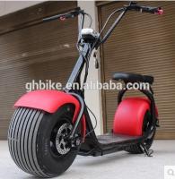 China Powerful 1000W Chainless Electric Snow Bike with 18x9.5'' Tires and Lithium Battery for sale
