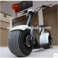 China Powerful 1000W Chainless Electric Snow Bike with 18x9.5'' Tires and Lithium Battery for sale