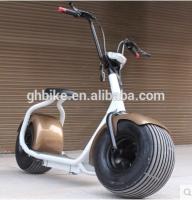 China Powerful 1000W Chainless Electric Snow Bike with 18x9.5'' Tires and Lithium Battery for sale