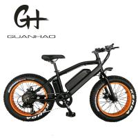 China 750W 20inch Fat Tire Mini Mountain Electric Bicycle ZOOM Stem Range per Power 10-30 km for sale