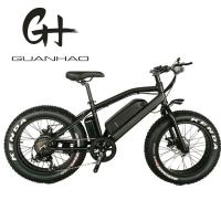 China 750W 20inch Fat Tire Mini Mountain Electric Bicycle ZOOM Stem Range per Power 10-30 km for sale