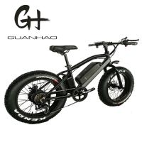 China 750W 20inch Fat Tire Mini Mountain Electric Bicycle ZOOM Stem Range per Power 10-30 km for sale