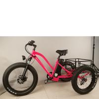 China 500W Cargo Adult 3 Wheel Electric Bicycle with Fat Aluminium Rim and EN71 Certificate for sale