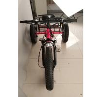 China 500W Cargo Adult 3 Wheel Electric Bicycle with Fat Aluminium Rim and EN71 Certificate for sale