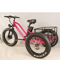 China 500W Cargo Adult 3 Wheel Electric Bicycle with Fat Aluminium Rim and EN71 Certificate for sale