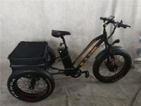 China Effortlessly Navigate the City on Our 350W Three Wheel Electric Bike for Older Riders for sale