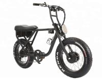 China 750W Brushless Motor Folding Fat E-Bike with 20inch Tire Big Power and Compact Size for sale
