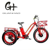 China Open Body Type 24inch 20inch BAFANG Front Motor Electric Tricycle for Adults 48V21AH 750W for sale