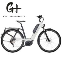 China 36V 250W 17Ah Middle Electric Motor Unisex City Electric Bicycle for Smart Riders for sale