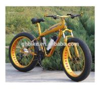 China 48V Voltage 1000W Chinese Snow Fat Tire Chopper E-Bike Perfect for Outdoor Activities for sale