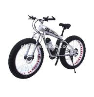 China 48V Voltage 1000W Chinese Snow Fat Tire Chopper E-Bike Perfect for Outdoor Activities for sale