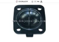 China Donjoy 2