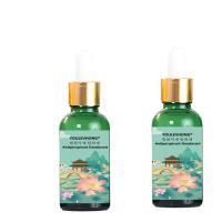 China Alcohol Free Unscented Roll On Skincare Antiperspirant Deodorant Stain Free Quick Drying For All Skin Types for sale