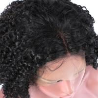 China Bob Frontal Wig 100% Human Hair Wigs - 8A/9A/10A Grade in Easy to Maintain Straight/Curly/Wavy Textures for sale