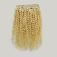 China Human Hair Extension With Swiss/French Lace New Clip Hair Band 613 for sale