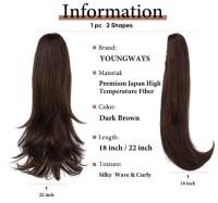 China Luxurious Full Lace Human Hair Wigs with Adjustable Densities Sleek Braided Ponytail With Swoop for sale