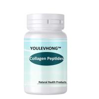 China Certified Dairy Free Collagen Peptides 1000 Da Molecular Weight Daily Supplements for sale