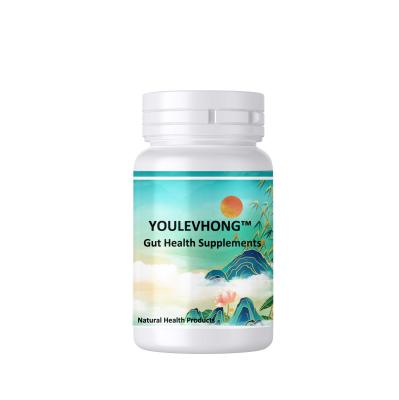 China Prebiotic Infused Gut Health Supplements For Digestive Balance Dietary Supplement Natural for sale