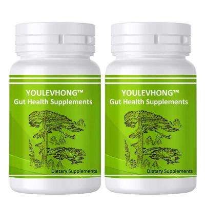China Experience Better Digestion with Our Gut Health Supplements 2 Years Expiration Date for sale