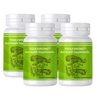 China Experience Better Digestion with Our Gut Health Supplements 2 Years Expiration Date for sale