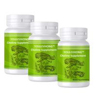 China Choline Supplement The Ultimate Brain Booster Natural pills health beauty products for sale