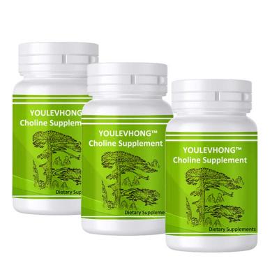 China Choline Supplement The Ultimate Brain Booster Natural pills health beauty products for sale