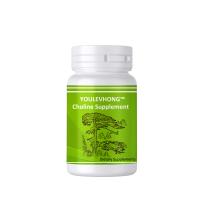 China Choline Supplement The Ultimate Brain Booster Natural pills health beauty products for sale