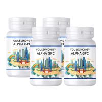 China Effective Alpha-GPC Choline Alfoscerate Capsule For Dairy-Free Form Natural Health Pills Beauty Products for sale