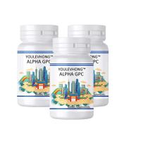 China Effective Alpha-GPC Choline Alfoscerate Capsule For Dairy-Free Form Natural Health Pills Beauty Products for sale