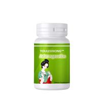 China GMP/NSF Certified Non GMO 500mg Ashwagandha Extract Supplements For Stress Relief Dietary Supplement for sale