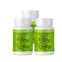 China GMP Certified NSF Listed FDA Registered Tribulus Terrestris Capsules - 90 Capsule Vegan Supplement for sale