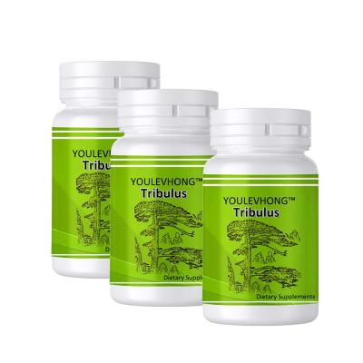 China Dietary Supplement Natural Health Beauty Pills Tribulus Terrestris Capsules 95% Purity 90-Count for sale