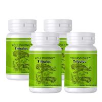 China Dietary Supplement Natural Health Beauty Pills Tribulus Terrestris Capsules 95% Purity 90-Count for sale