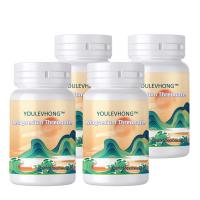 China Gluten Free Magnesium Threonate Caps For Enhanced Cognitive Function Dietary Supplement Natural Health Beauty Capsules for sale