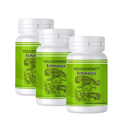 China Certifications Gluten-free Echinacea Supplements Store In A Cool with Rice Flour FDA NSF SGS for sale