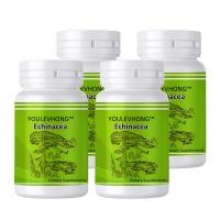 China Certifications Gluten-free Echinacea Supplements Store In A Cool with Rice Flour FDA NSF SGS for sale