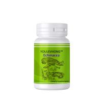 China Echinacea Supplements Daily Health Brain Food Supplements Wound Healing for sale