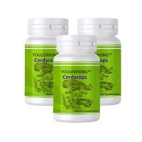 China Vegan Cordyceps Capsules For Energy And Endurance Strong Body Cordyceps Supplements for sale