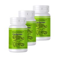 China Natural Health Products Dairy-Free Cordyceps Supplement for Immune System Support for sale