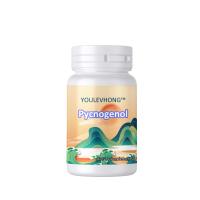 China 100mg French Pine Bark Pycnogenol Natural Supplements Supports Cardiovascular Health for sale