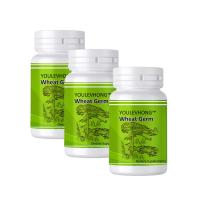 China Premium Natural Health Products Whole Wheat Germ Extract 100 Capsules Boost Protein Intake for sale