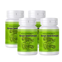 China Premium Natural Health 1 Capsule Grape Seed Extract Supplement - GMP NSF Non GMO High Potency Extract for sale
