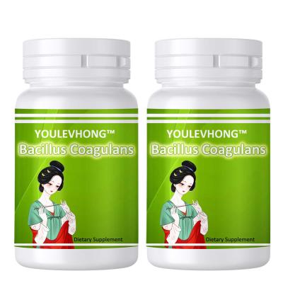 China 2 Billion Cfu Bacillus Coagulans Supplement Vegetarian Friendly For Gut Health for sale