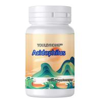 China Acidophilus Supplement Capsules for Digestive Health GMP Certified and 2 Year Shelf Life for sale