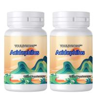 China Acidophilus Supplement Capsules for Digestive Health GMP Certified and 2 Year Shelf Life for sale