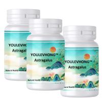 China Herb Food Astragalus Extract Capsules 30/60/100 Caps For Stronger Immune System for sale