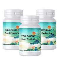 China Soy Free Seed Probiotics Supplement Vegan Capsules Dairy Free Digestive Health Booster for sale