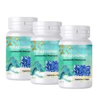 China USA Probiotic Supplement For Healthy Digestion 60 Capsules Strengthens Digestive Immune Health for sale