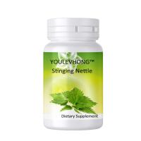 China Stinging Nettle Extract Capsules 500 Mg Dosage Natural Food Supplement for Dry Storage for sale